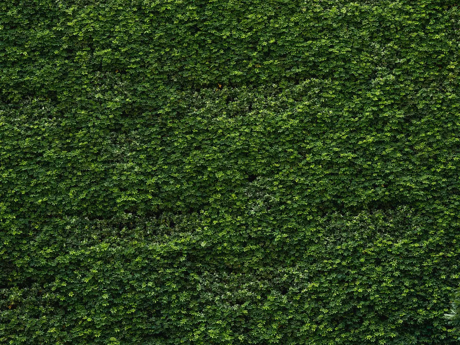 Front Page - Bella Park at Royal Bay